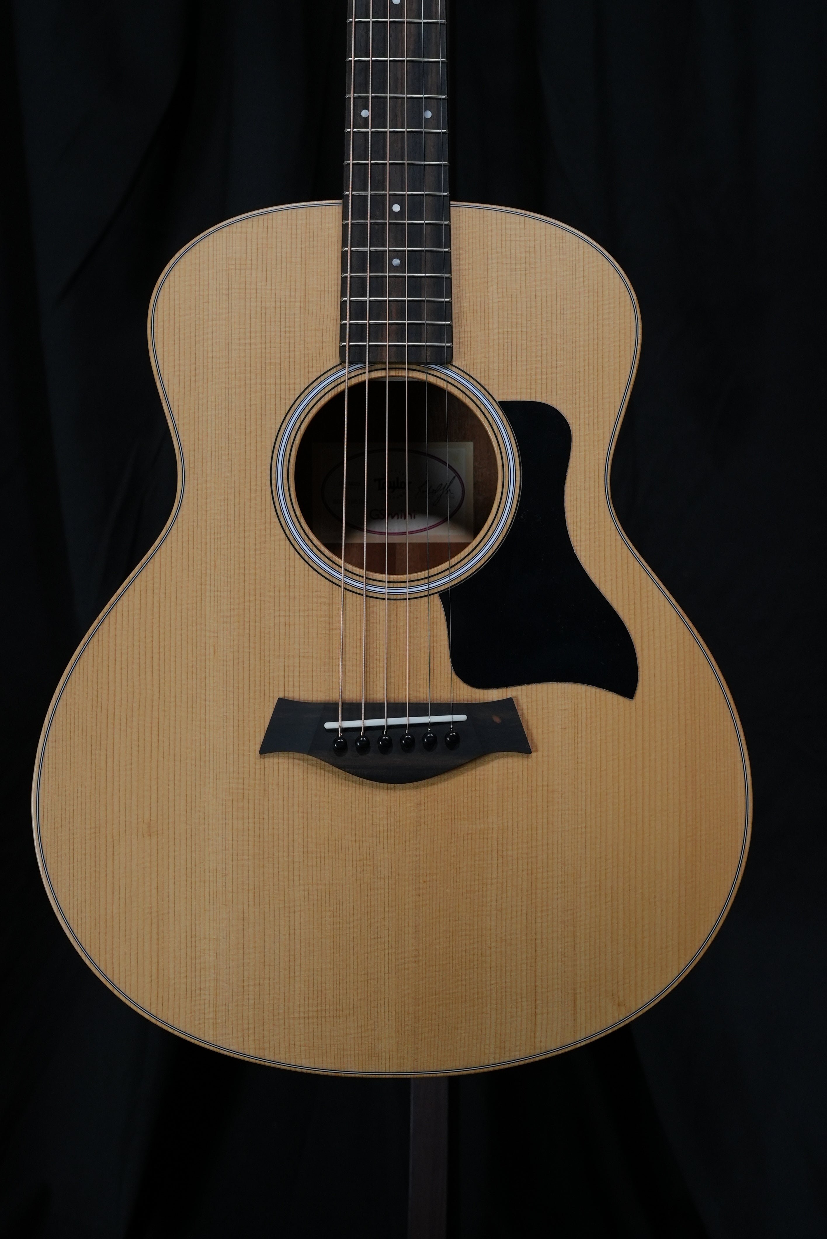 Taylor GS Mini Sapele | Compact Travel Acoustic Guitar – VERA Guitars