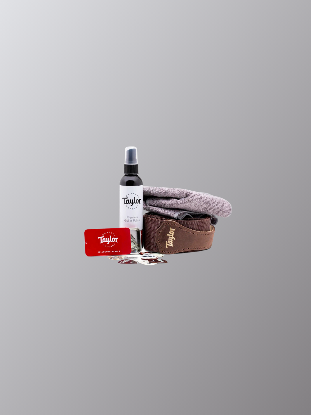 Taylor Essentials Pack,Gloss Finish – VERA Guitars